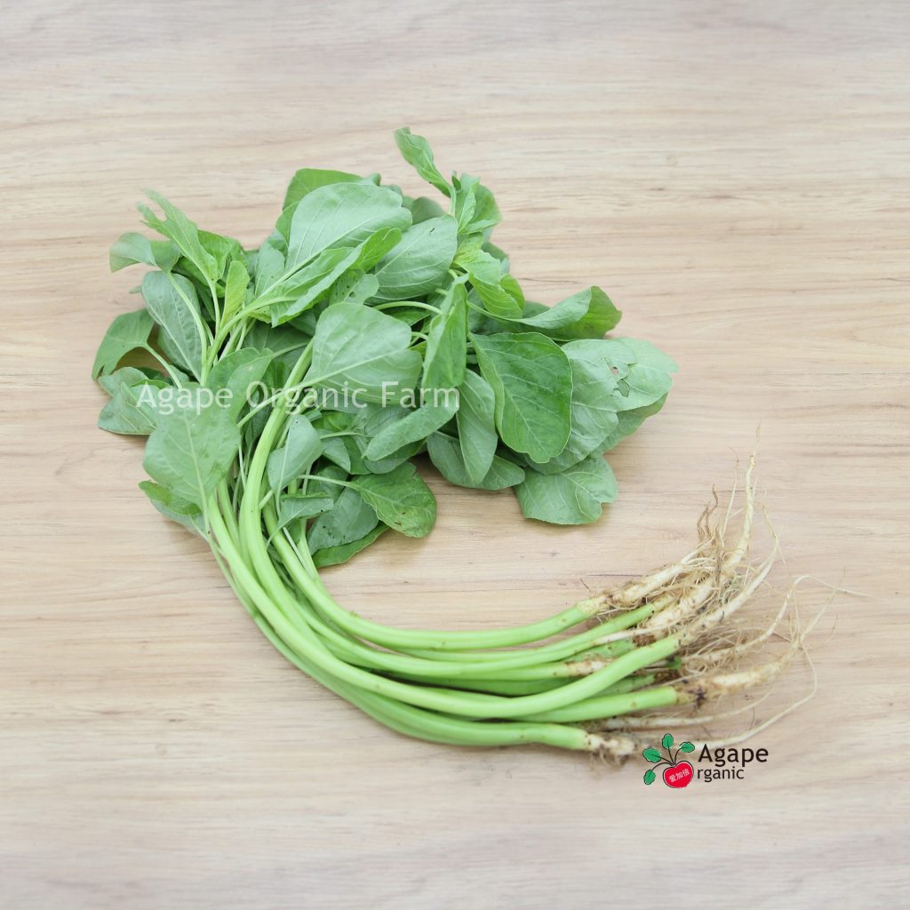 Vegetables - à la carte - AGAPE ORGANIC